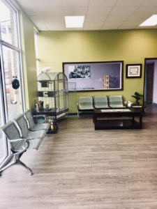 Virtual Tour - Shepherd Animal Hospital
