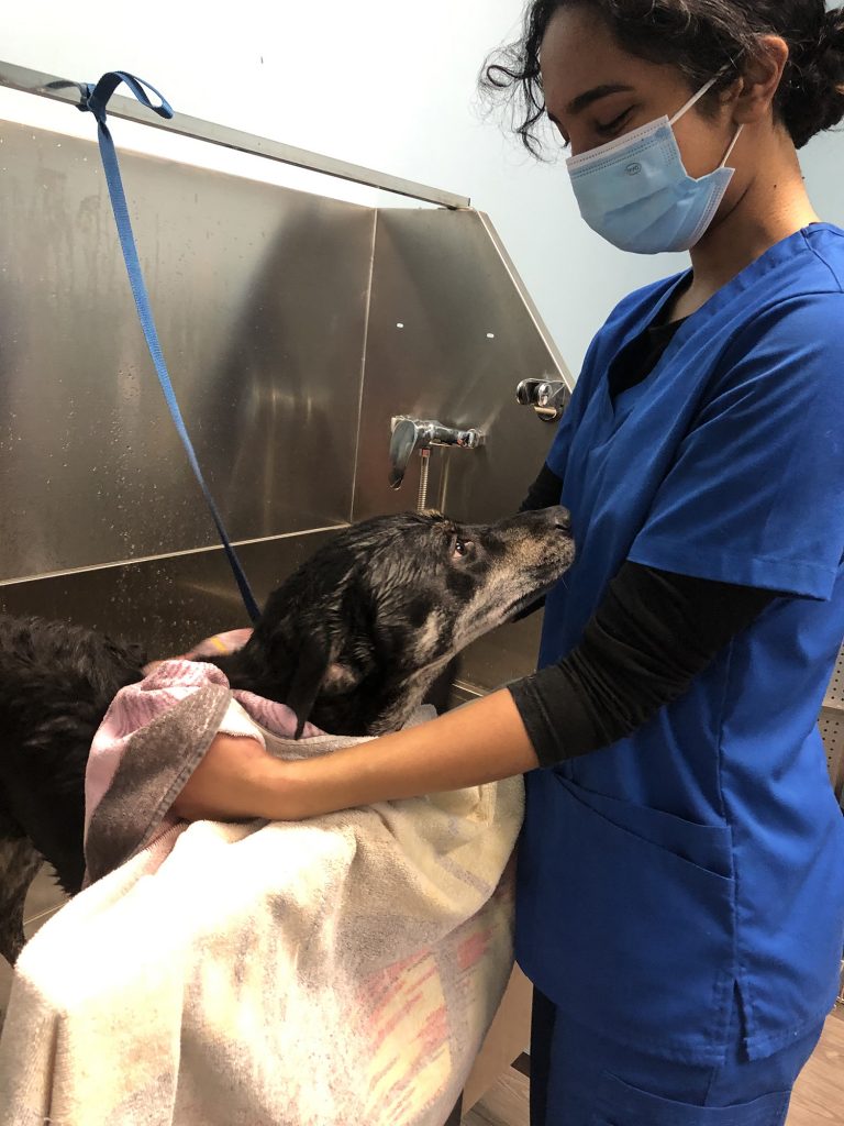 Photo Gallery - Shepherd Animal Hospital