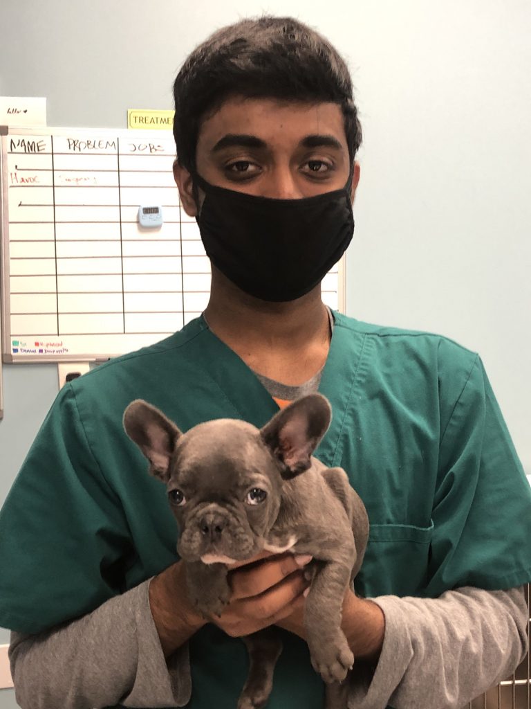 Photo Gallery - Shepherd Animal Hospital
