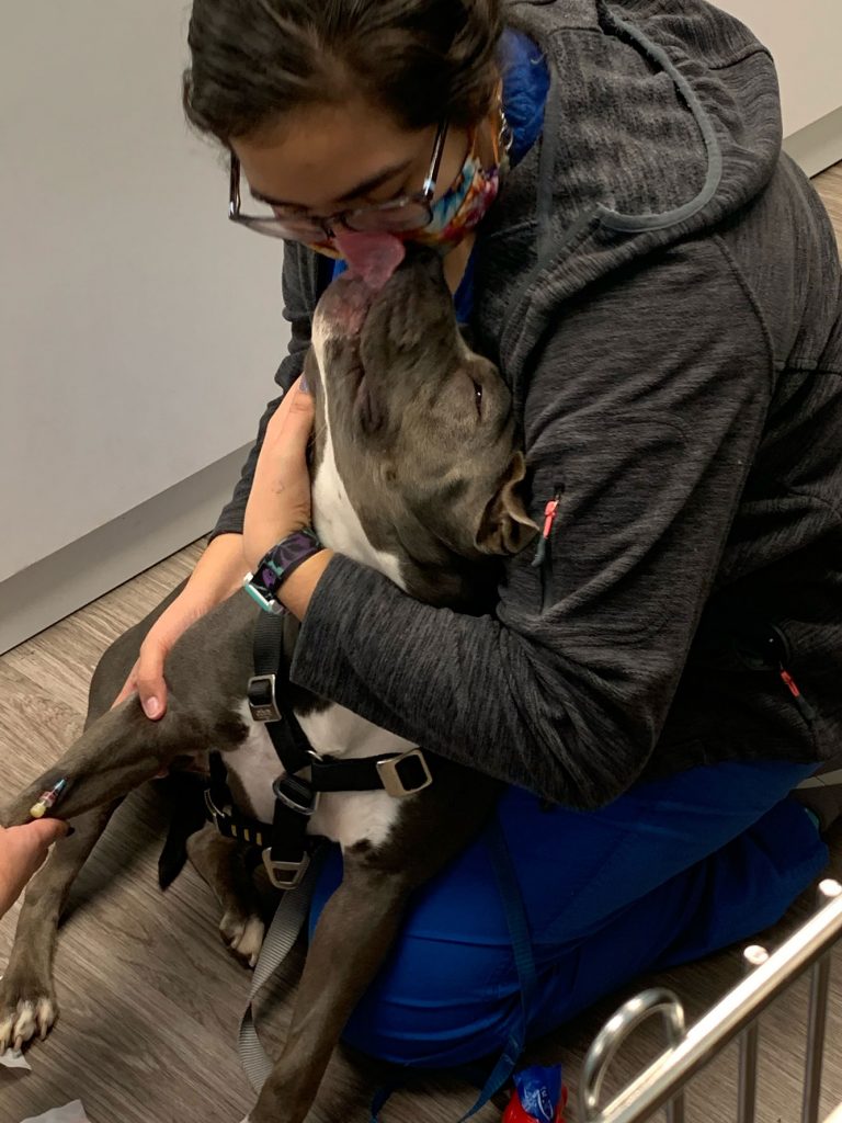 Photo Gallery - Shepherd Animal Hospital